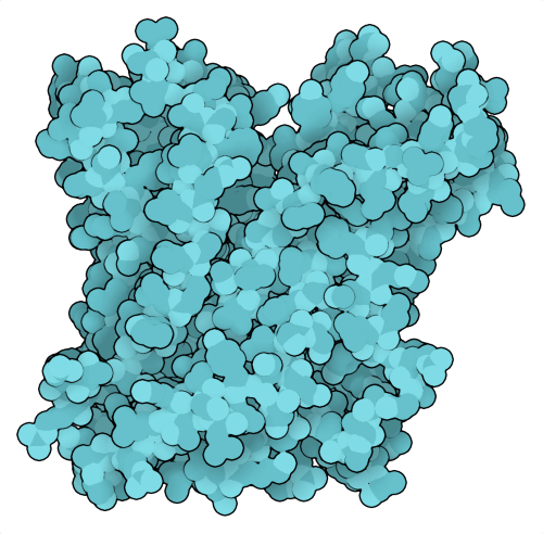 RESOLUTE - Research Empowerment on Solute Carriers