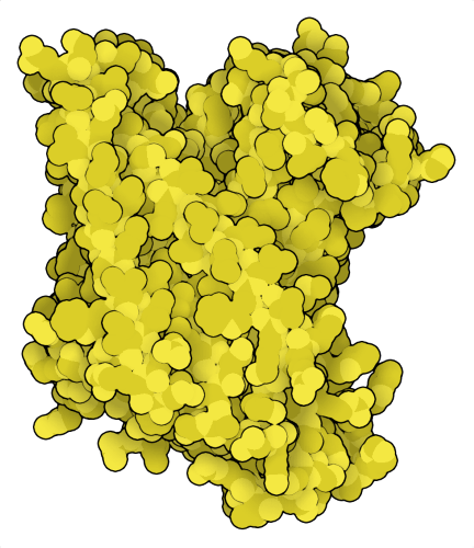RESOLUTE - Research Empowerment on Solute Carriers