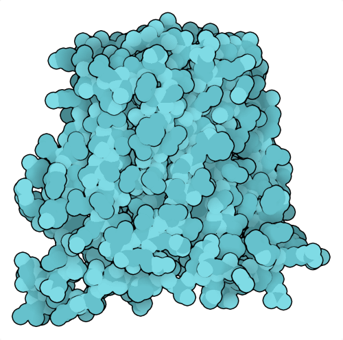 RESOLUTE - Research Empowerment on Solute Carriers