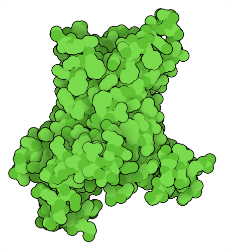 RESOLUTE - Research Empowerment on Solute Carriers