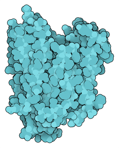 RESOLUTE - Research Empowerment on Solute Carriers