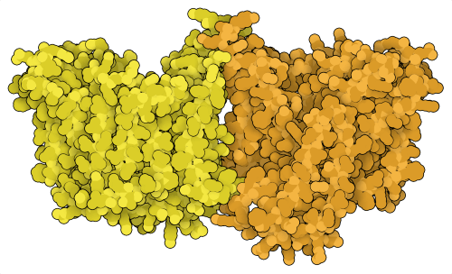 RESOLUTE - Research Empowerment on Solute Carriers