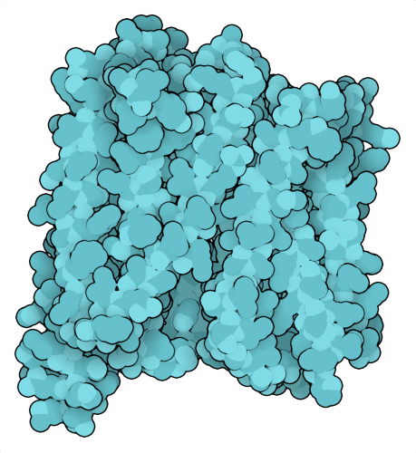 RESOLUTE - Research Empowerment on Solute Carriers