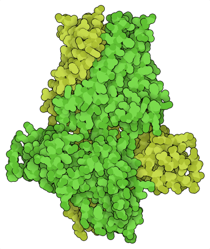RESOLUTE - Research Empowerment on Solute Carriers