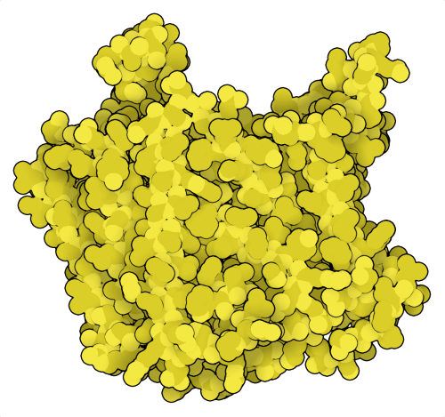 RESOLUTE - Research Empowerment on Solute Carriers