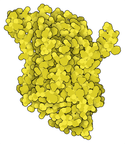 RESOLUTE - Research Empowerment on Solute Carriers