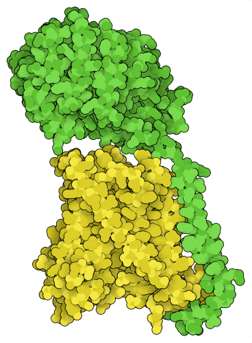 RESOLUTE - Research Empowerment on Solute Carriers